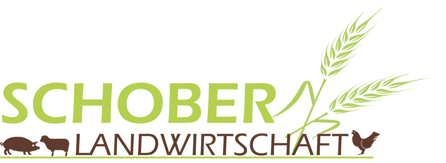 Schober Landwirtschaft - Bio-Eier direkt vom Bauern - Schober ...