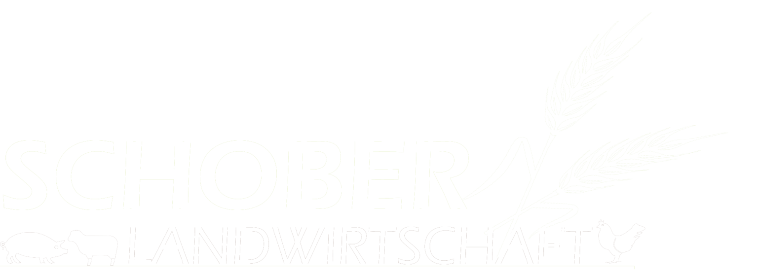 Schober Landwirtschaft - Bio-Eier direkt vom Bauern - Schober ...