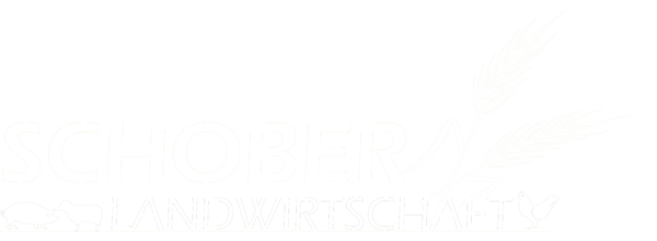 Schober Landwirtschaft - Bio-Eier direkt vom Bauern - Schober ...