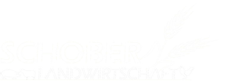 Schober Landwirtschaft - Bio-Eier direkt vom Bauern - Schober ...