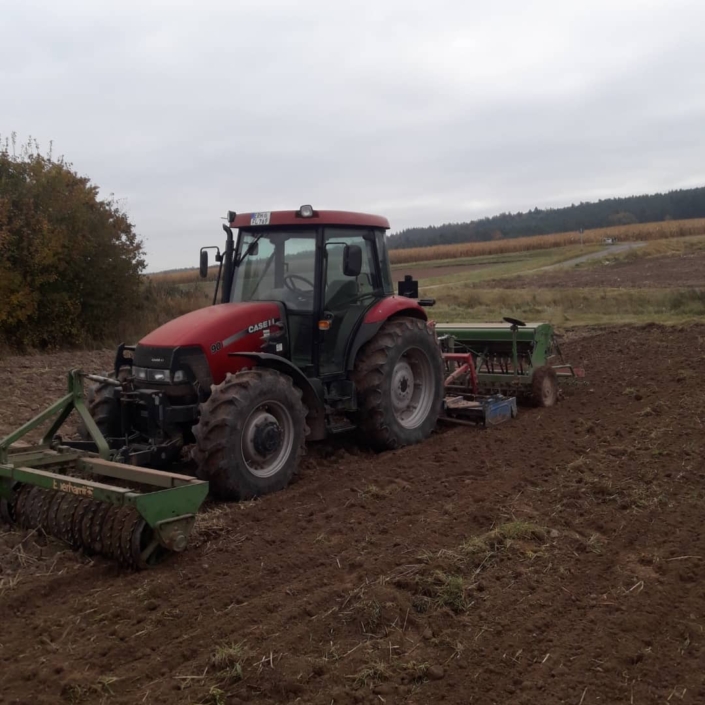 Schober Landwirtschaft - Bio-Eier direkt vom Bauern - Schober ...