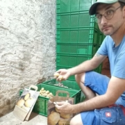 Schober Landwirtschaft - Bio-Eier direkt vom Bauern - Schober ...